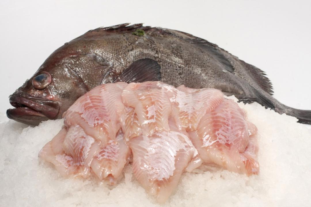 Filet de Mero x 1 kilo